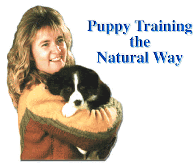 Basic Puppy Training, The Ultimate Dos And Donts Guide