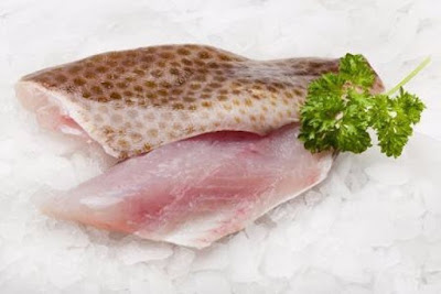 Grouper Fillet Supplier, Grouper Fish Manufacturers, Frozen Grouper ...