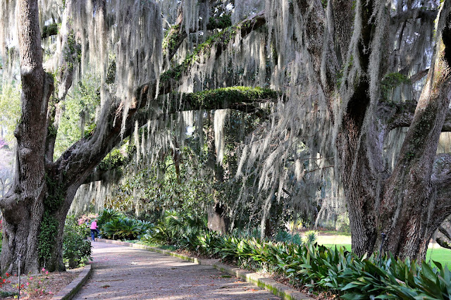 Sweet Southern Days: Maclay Gardens in Tallahassee, Florida