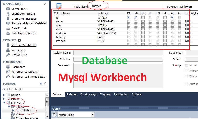 Insert Images Blob Database In Mysql Eclipse Java Swing ~ Thế Giới Giải Mã
