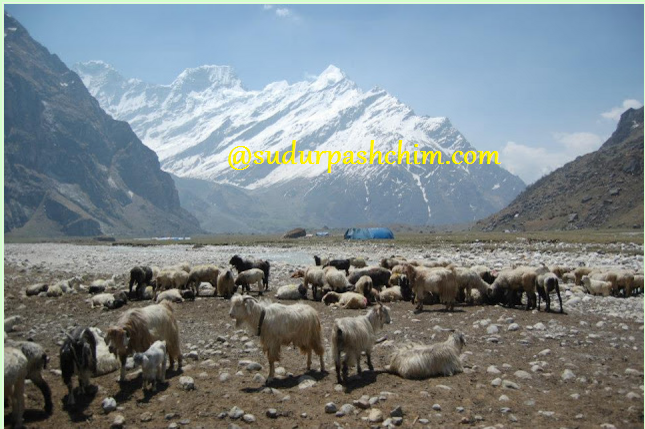 DARCHULA DISTRICT FEATURE ! | ONLINE MEDIA NEPAL