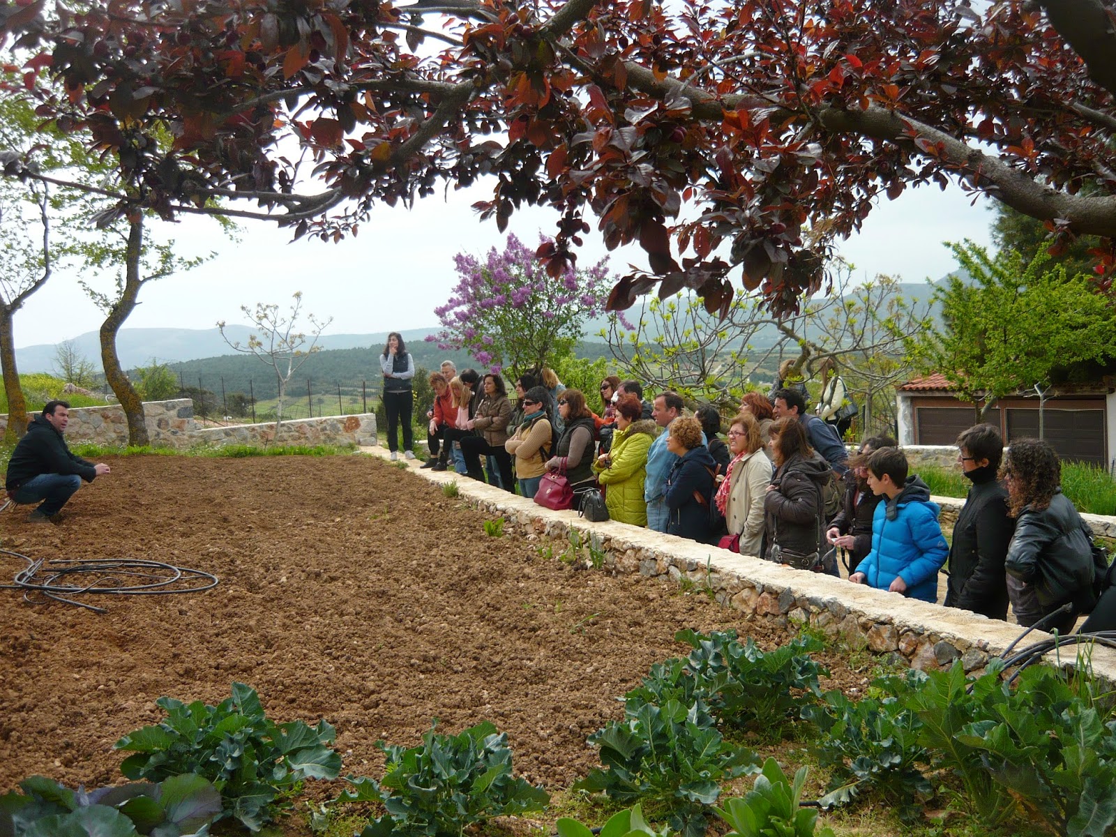 ΣΧΟΛΙΚΟΙ ΛΑΧΑΝΟΚΗΠΟΙ : ΟΙ ΚΗΠΟΙ ΤΩΝ ΣΧΟΛΕΙΩΝ ΤΗΣ Δ/ΣΗΣ Β/ΘΜΙΑΣ ΕΚΠ/ΣΗΣ ...
