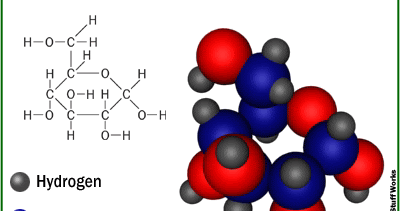 Info Kesehatan Masyarakat: Metabolisme Glukosa