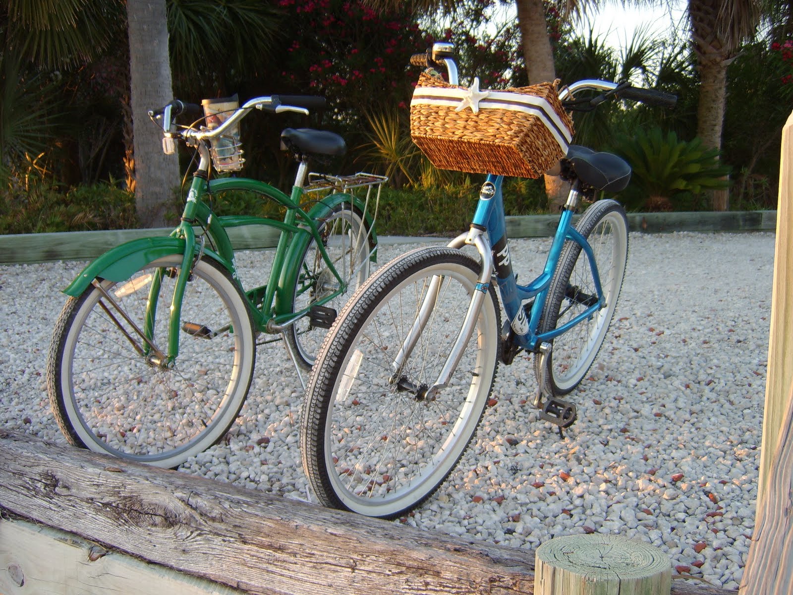 Cheryl's Shells: Cedar Key