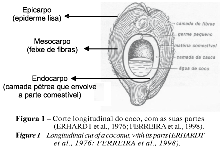 Adsorção com Fibra de Coco Verde