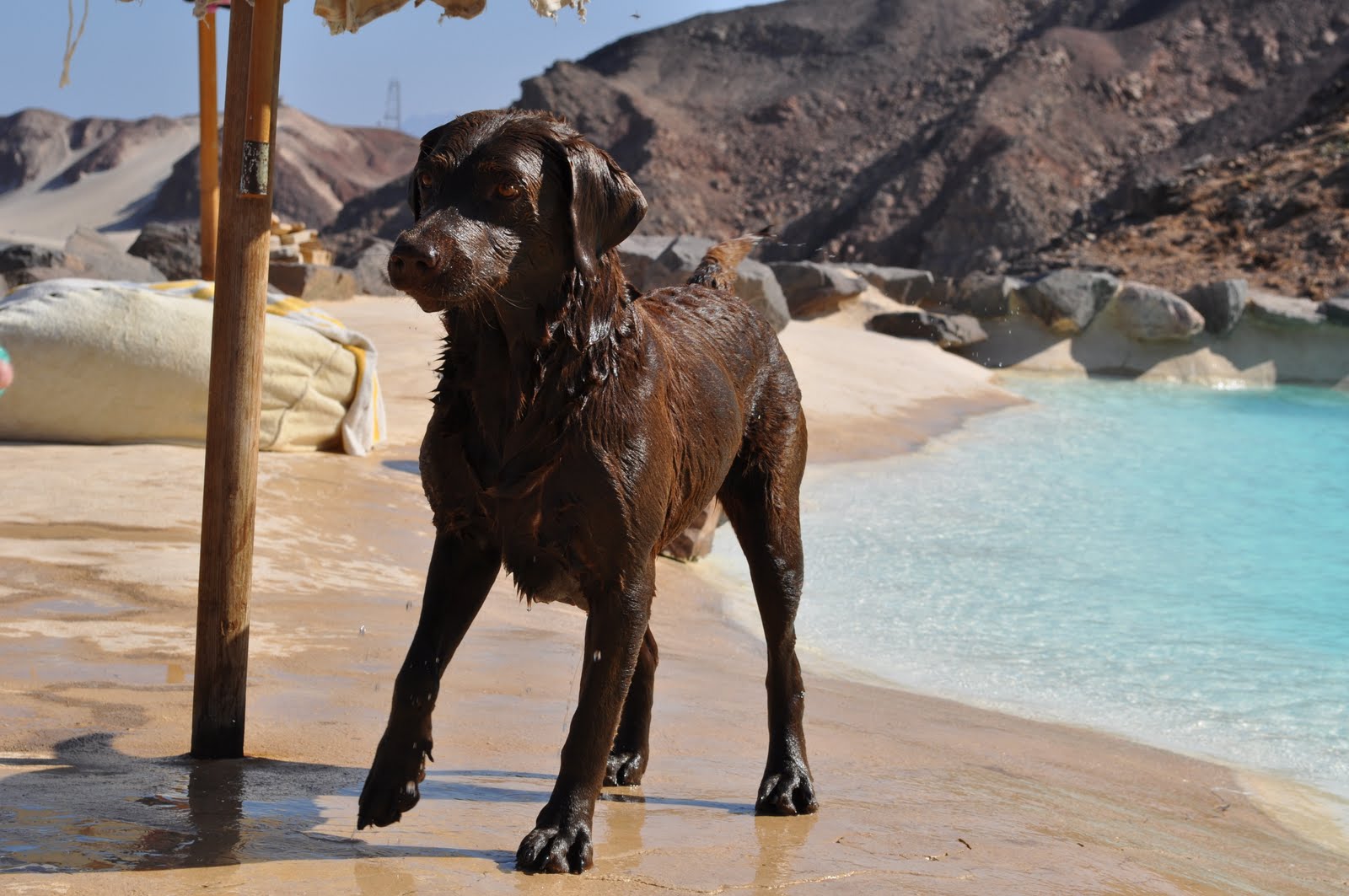 Walking Like the Egyptians - a 3 month trip: Castle Zaman: Taba-Nuweiba ...