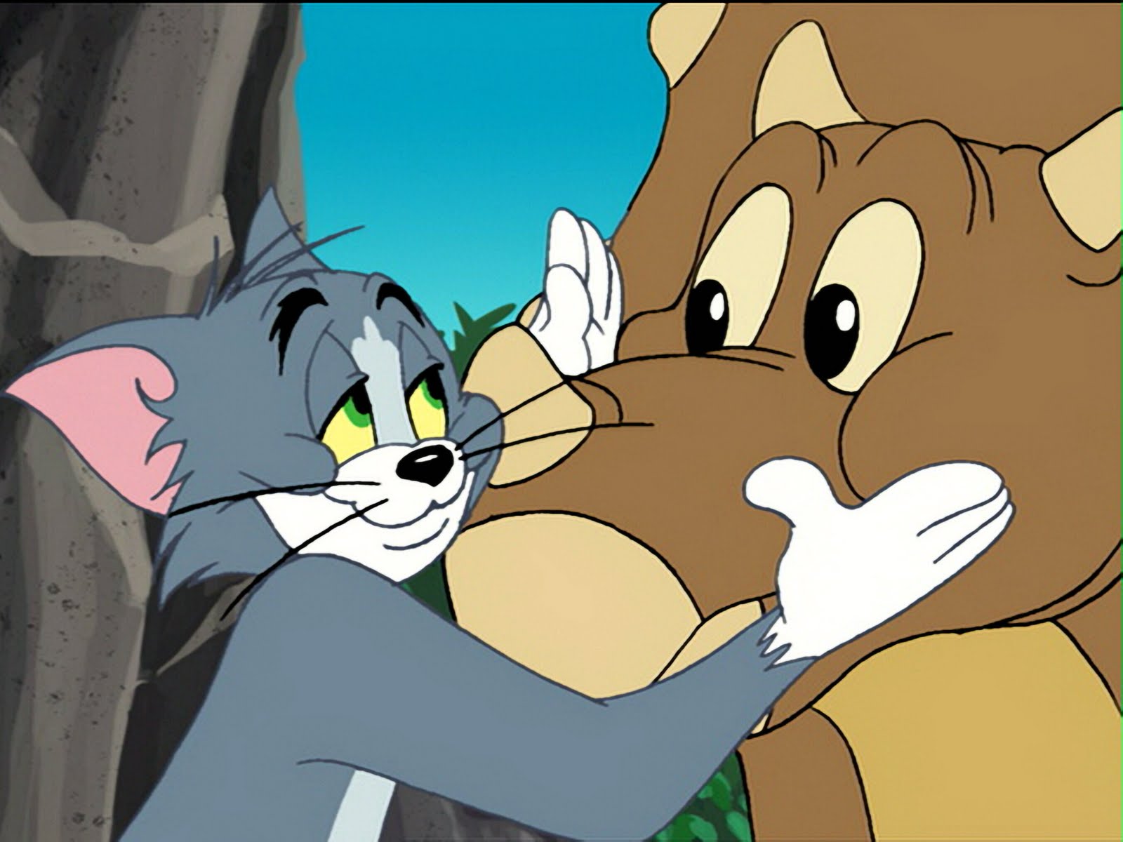 American top cartoons: Tom and jerry cartoon