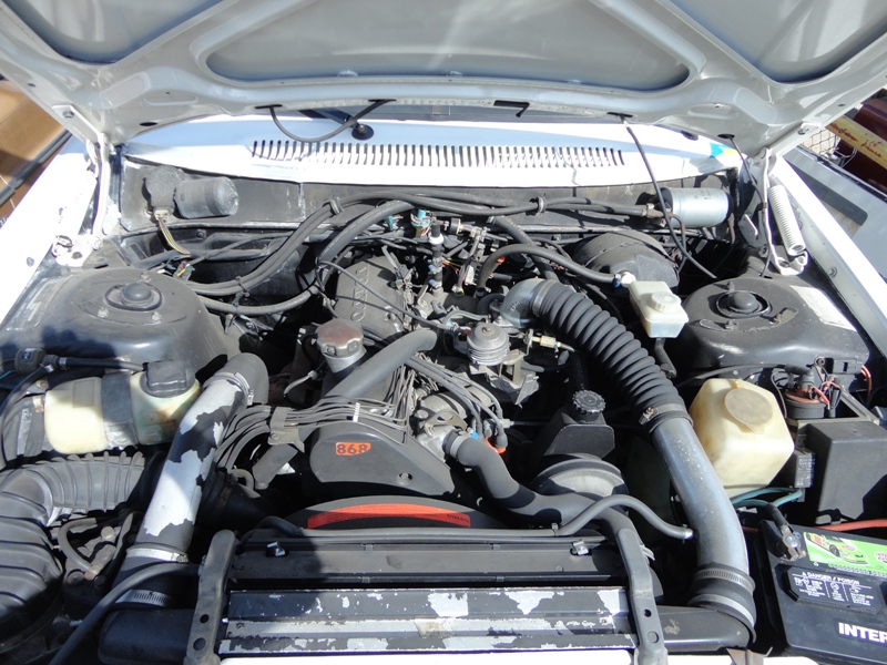 5k: Boosted Ute; 1985 Volvo 240 Turbo Custom Pickup - DailyTurismo