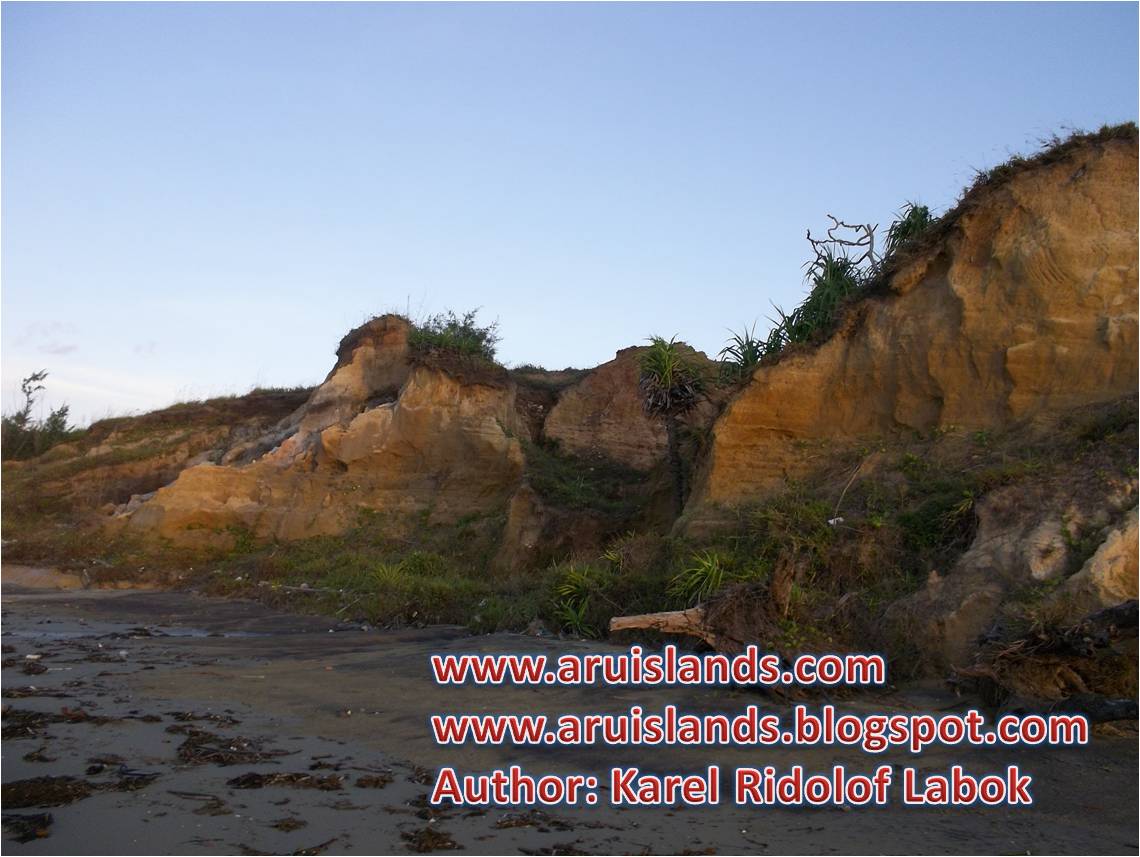 LANDSCAPE OF ARU ISLANDS BEACH