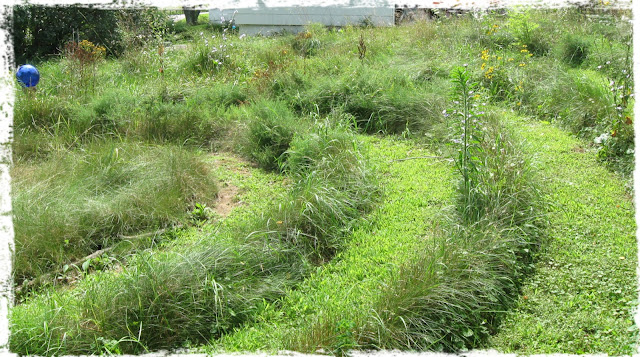 River Bliss: Creating Labyrinths