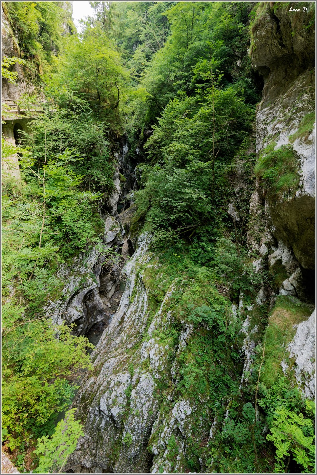 Montagne Sottosopra : Si ricomincia.........Cellina, la forra, la ...