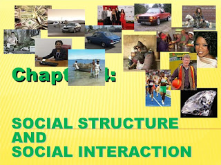 Chapter 4: Social Structure and Social Interaction