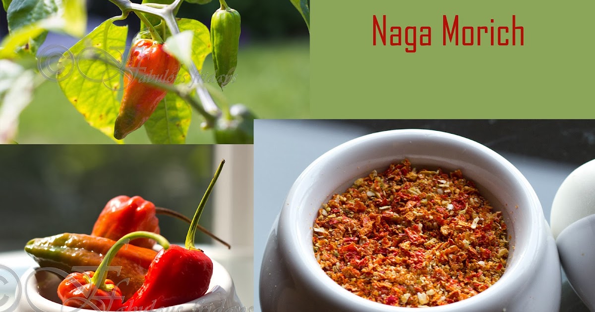 fabulous fridays: Naga Morich