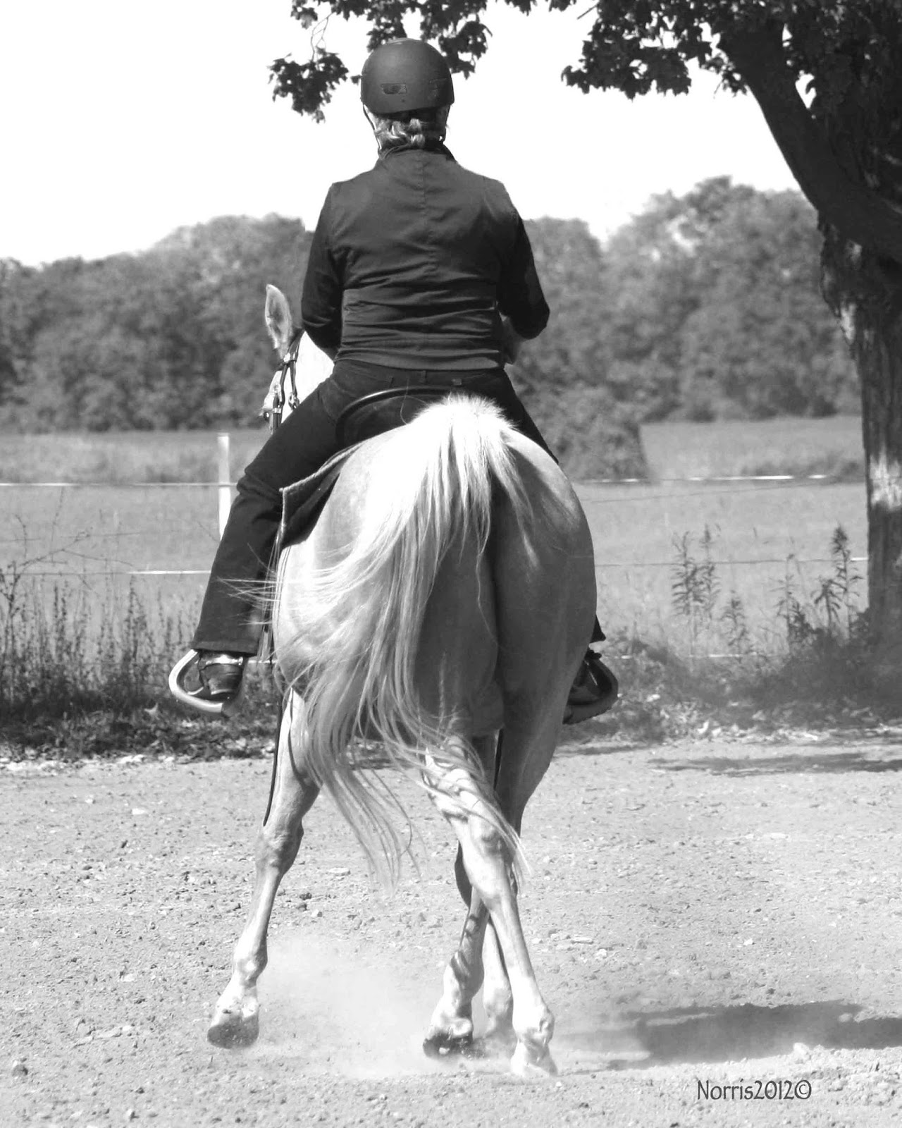 Elaine Ward Western Dressage: Correct Hand Position