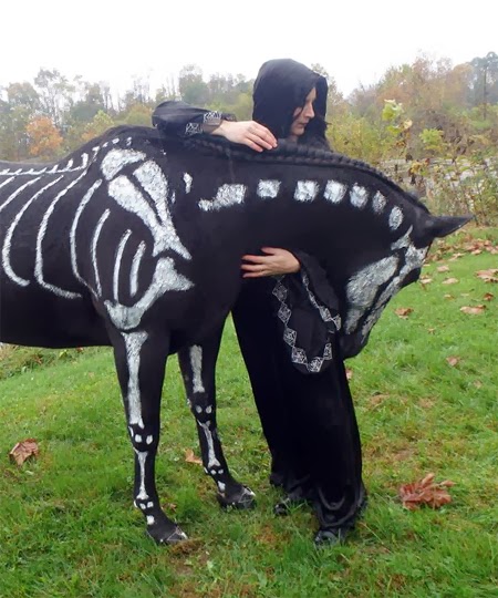 Horse Skeleton Halloween Costume | Inspiring Design - S7eep