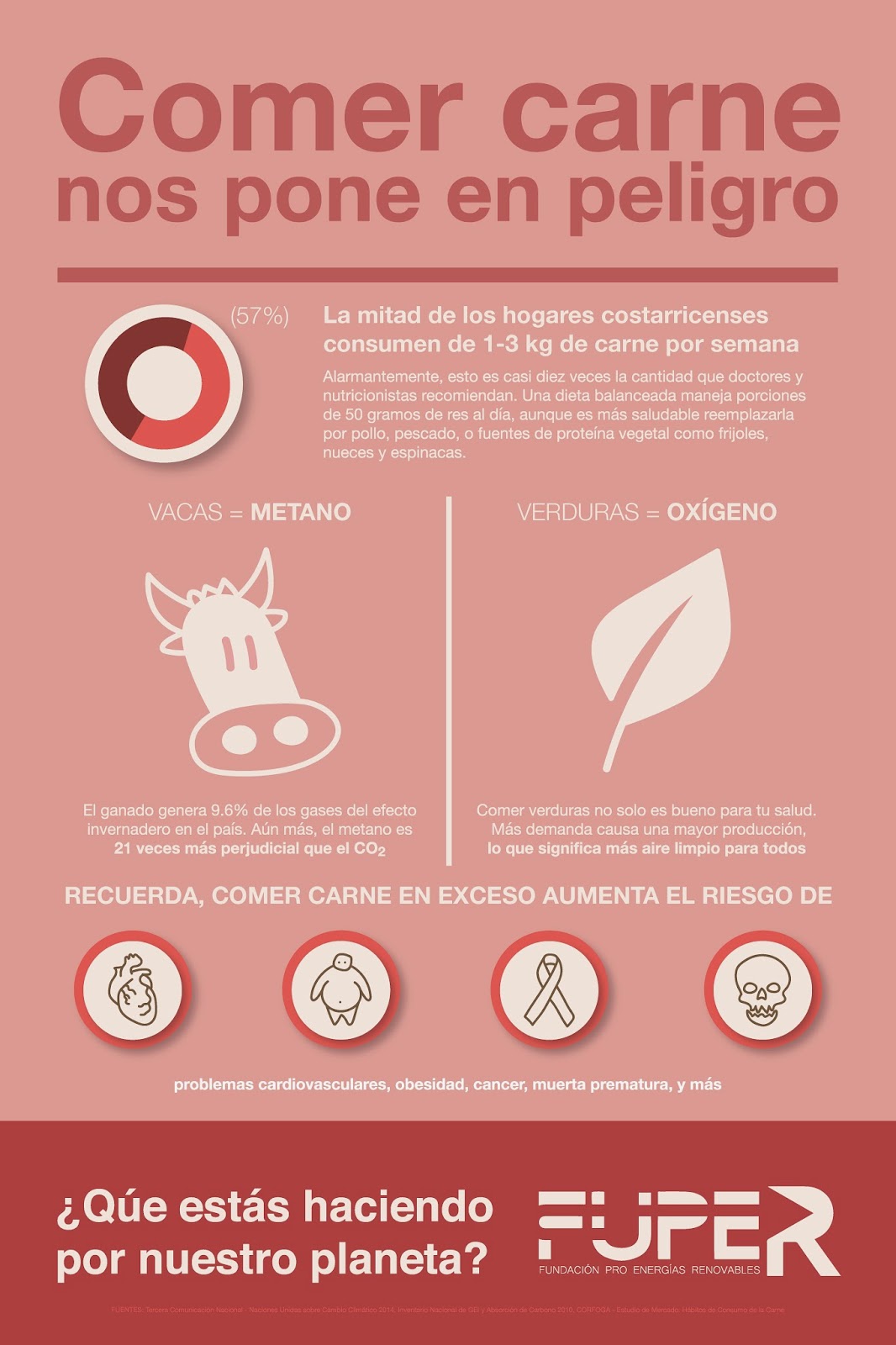 DISEÑO PUBLICITARIO V: FUPER - Infográficos