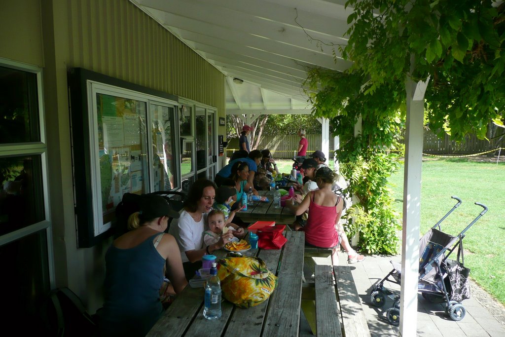 WM: Ambury Farm Park Visit