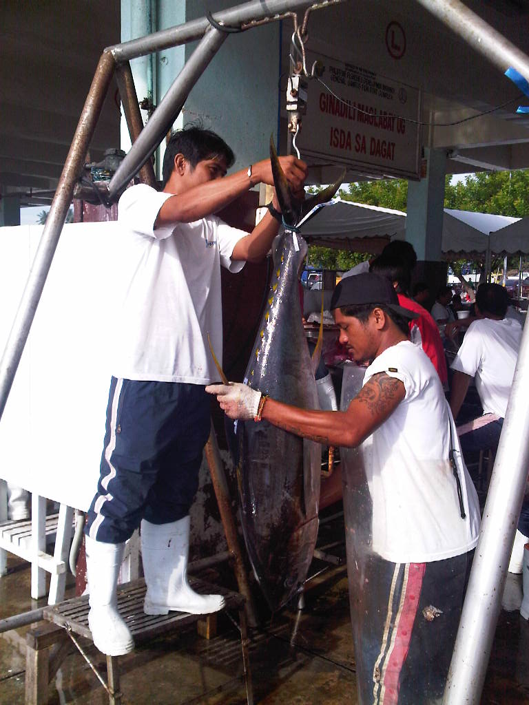 Agilex Tuna Export: General Santos City Tuna Fish Port