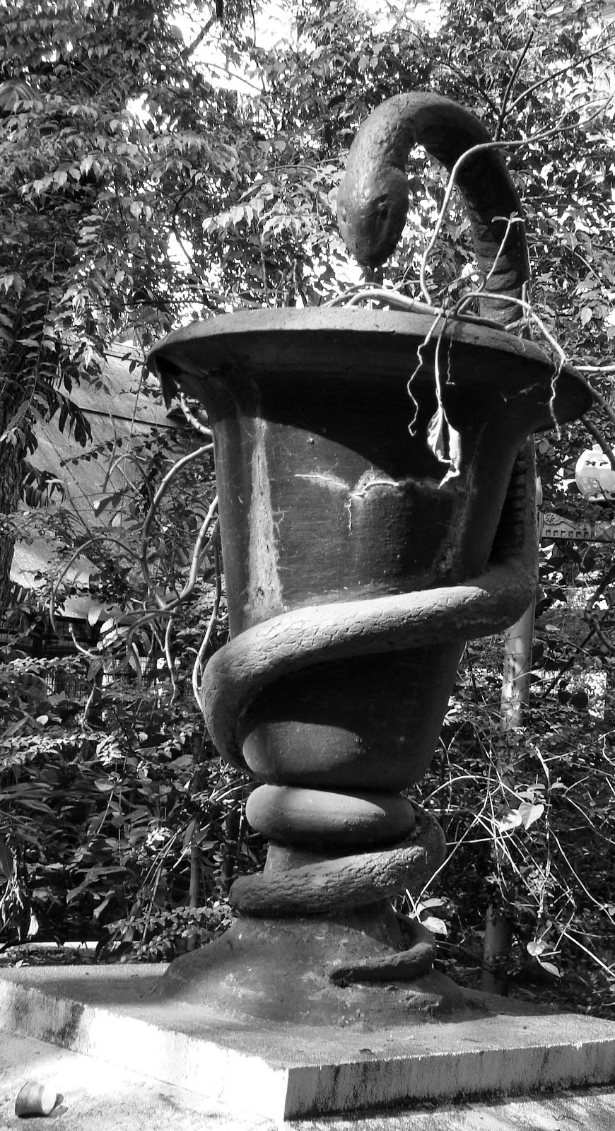 Naturalism - the Eighth Sense: August 2018