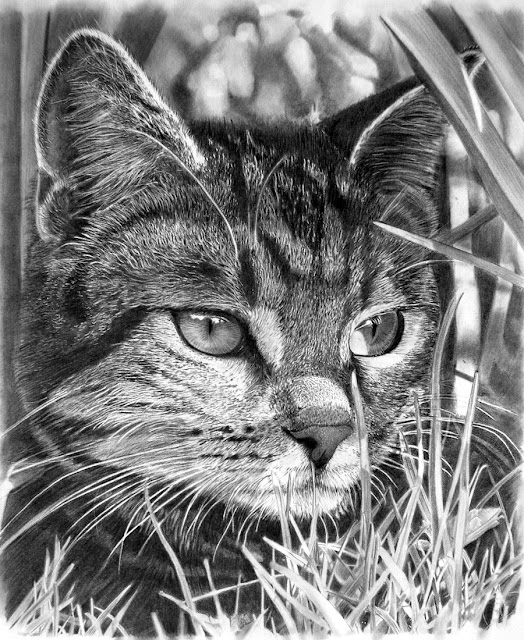 Franco Clun | Italian Artist | Beautiful Portraits