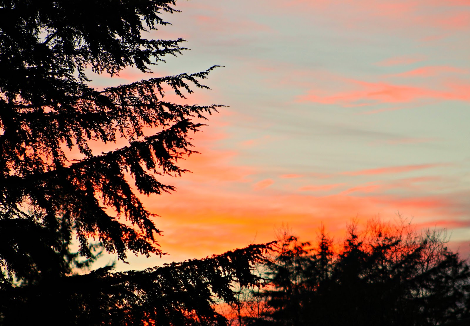 Sandra's Alaska Photography: October 20, 2012: The Sunset Lit Up the ...