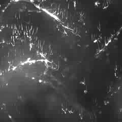 Electric Galaxy: Superfluid Cosmic Web Spider Galaxy Filaments Shapes ...