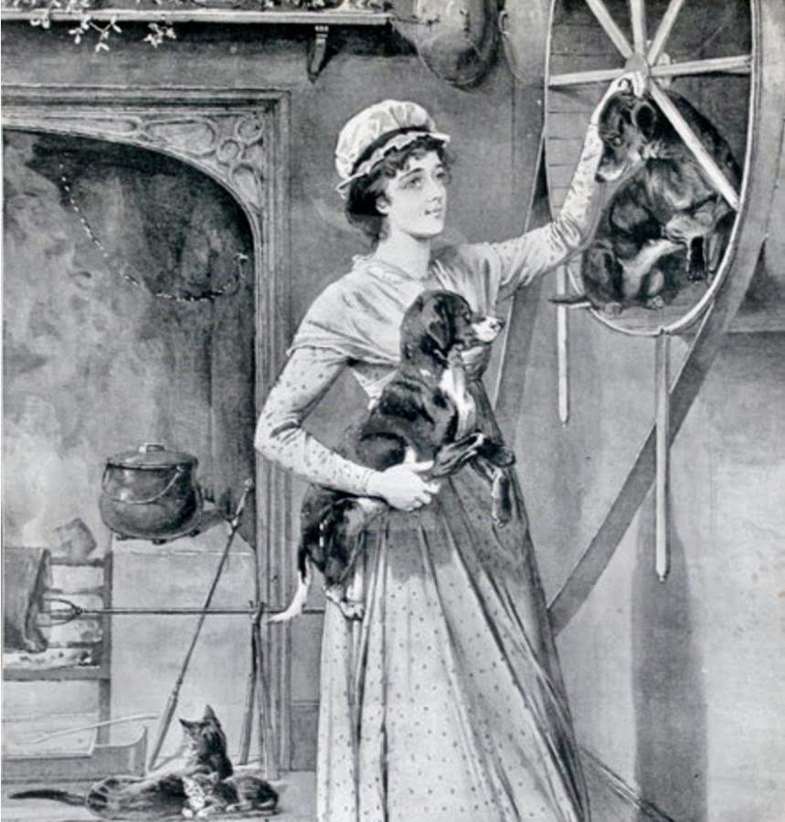 Terrierman's Daily Dose: Whatever Happened to Turnspit Dogs?