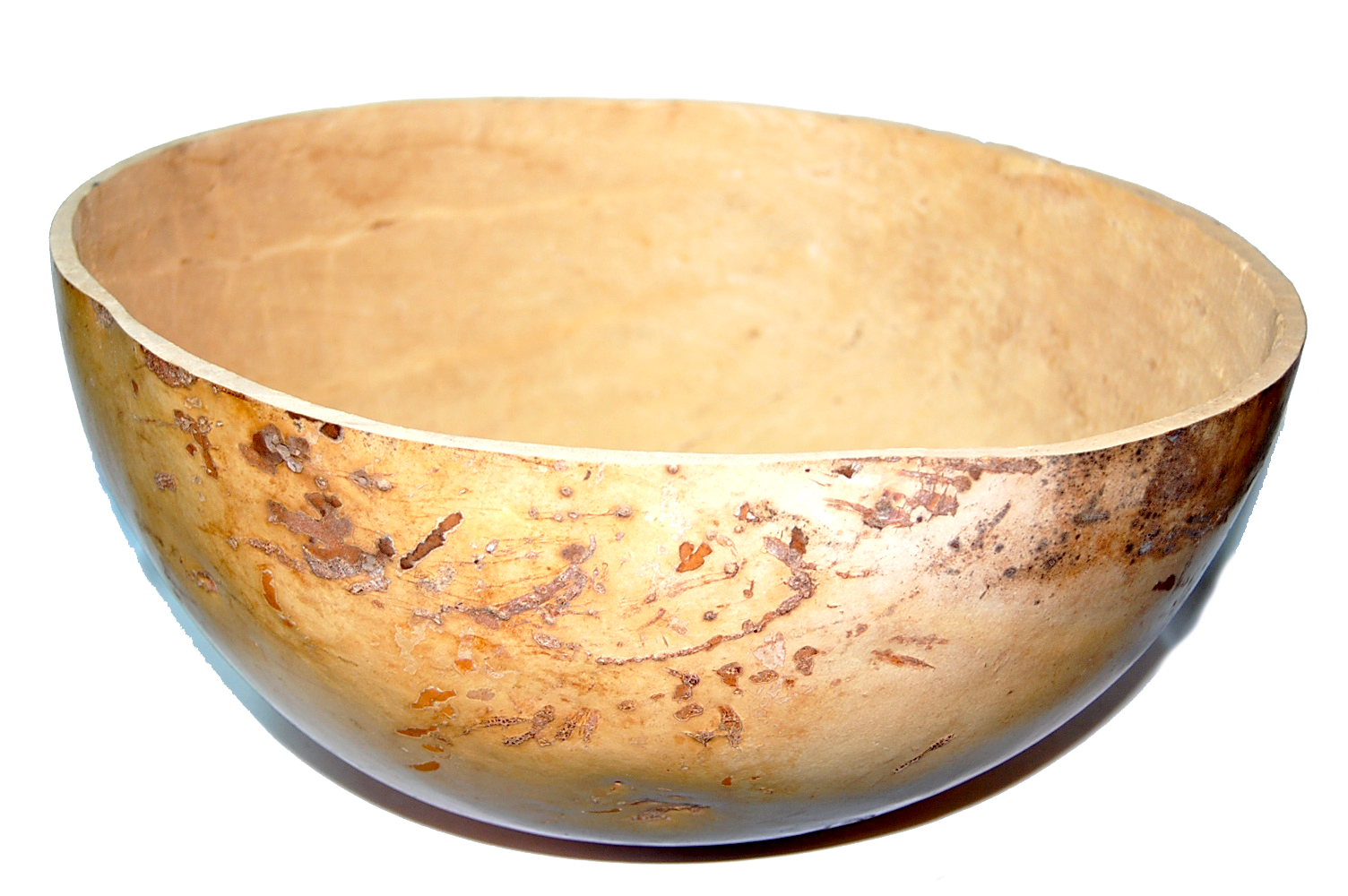 Dicionário Ilustrado Tupi Guarani