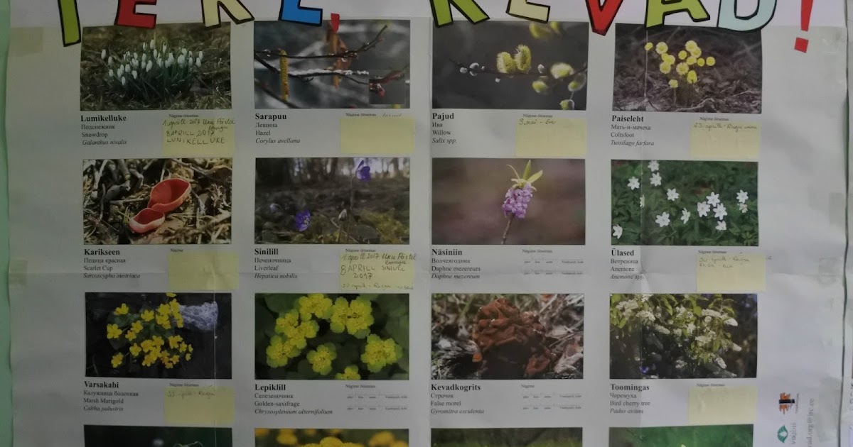 PIRITAL KEVADET OTSIMAS : Tere Kevad plakatid