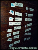 Home Grown Hearts Academy Homeschool Blog: Ocean Unit - Day 3