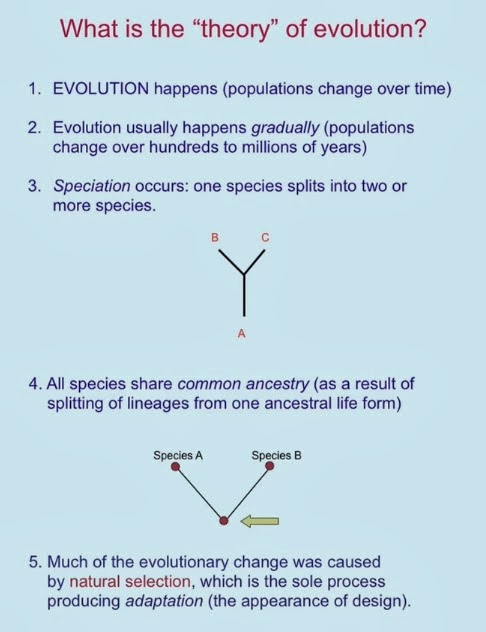 Science, Reason and Logic Rule: Evolution