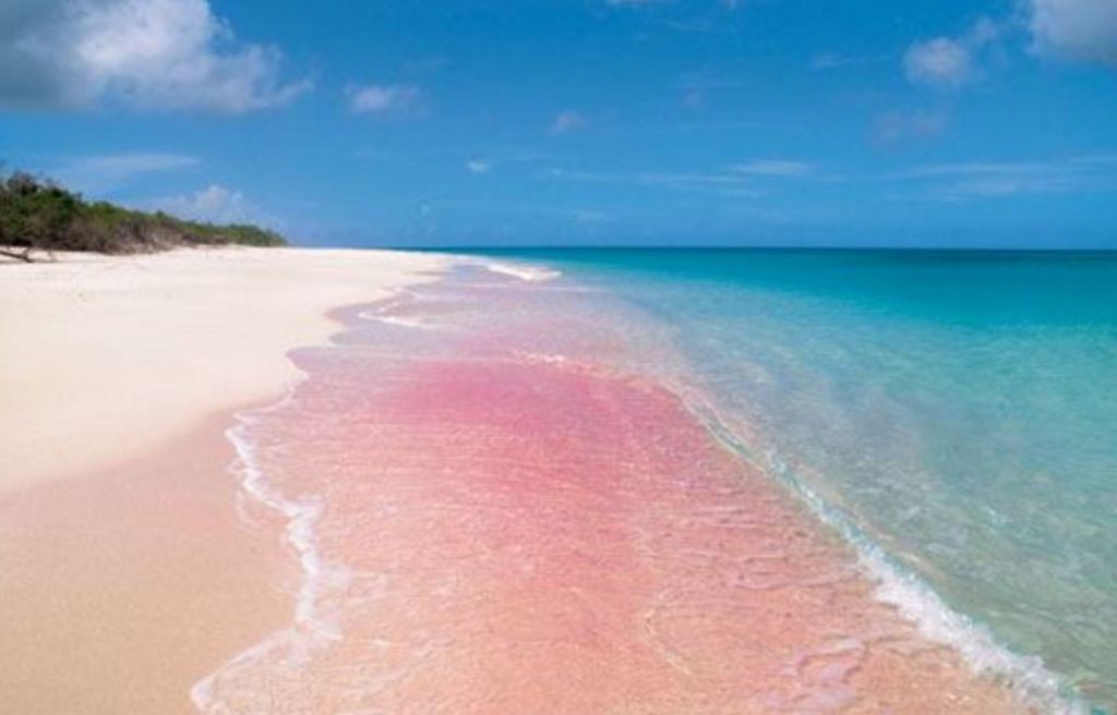 10 Pantai Keren ini Berpasir ‘Pink’, di Indonesia ada Dua Lho! | Galeri ...