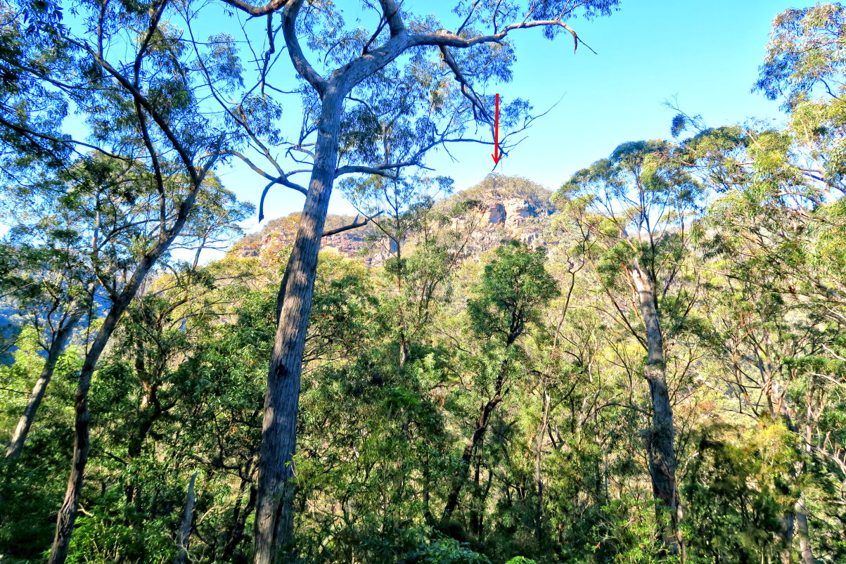 Mountains: Mt Warrigal, NSW, Australia