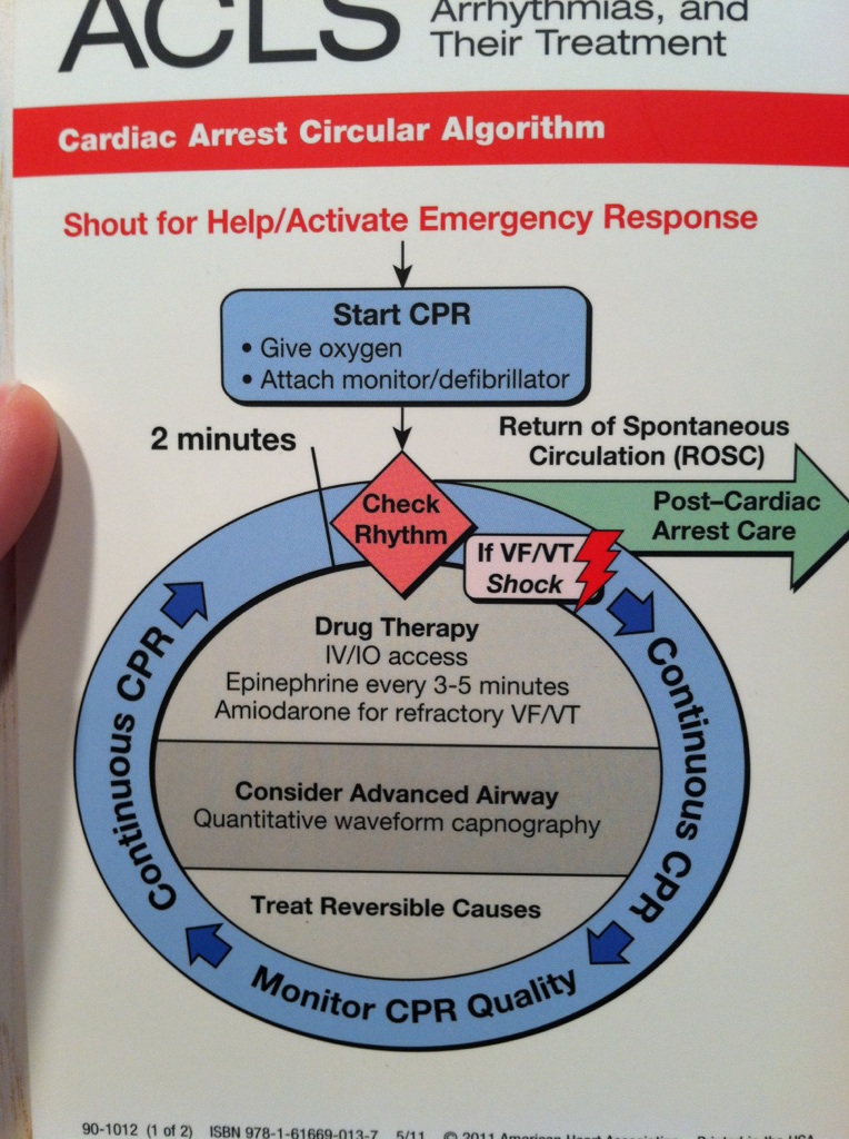 A Doctor in the Works: ACLS Certifiation