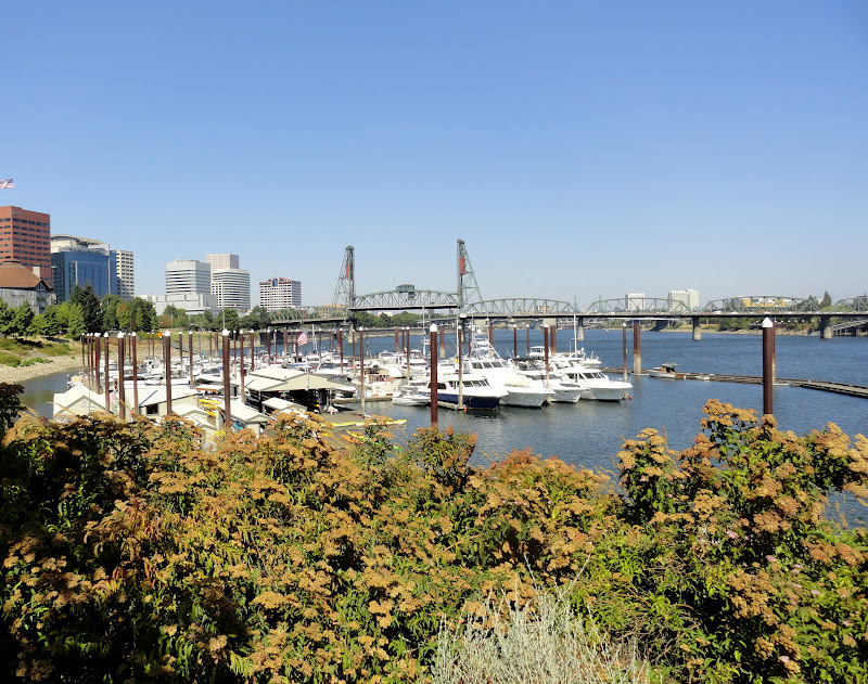danger garden: A late summer visit to the Portland waterfront