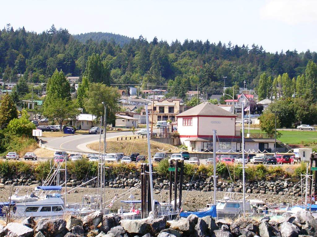 My life with the critters: Here's Sam