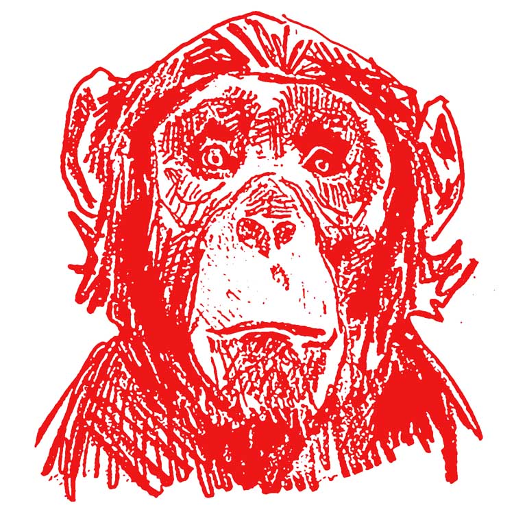 NATHANIEL GOLD: Chimp Sketch of the week #6