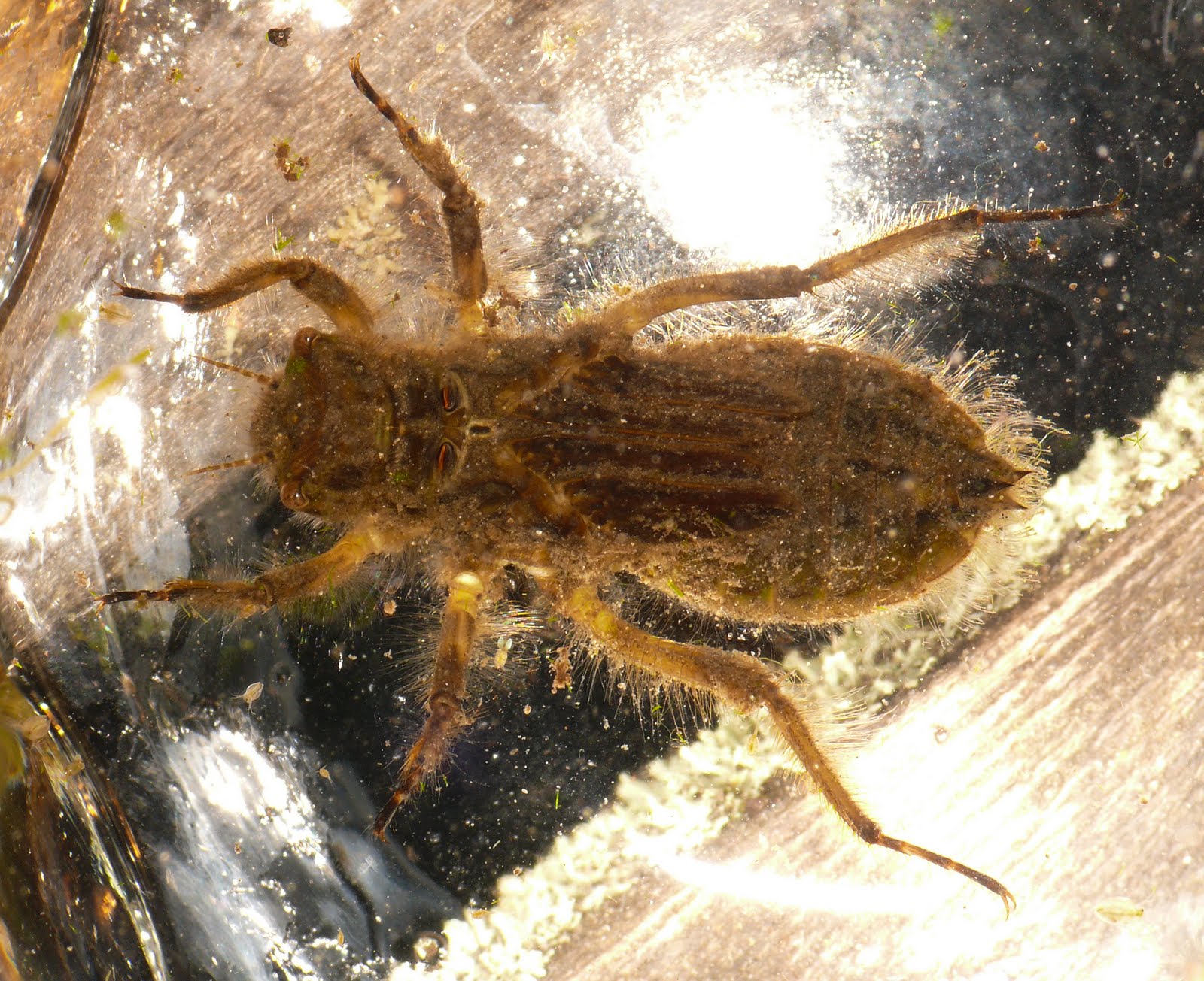 THE BLACK RABBIT: April 2011