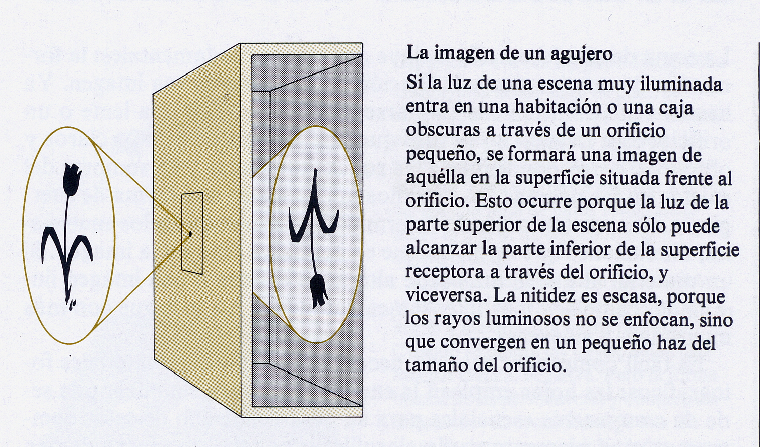 Mis cámaras y yo: Fotografía estenopéica