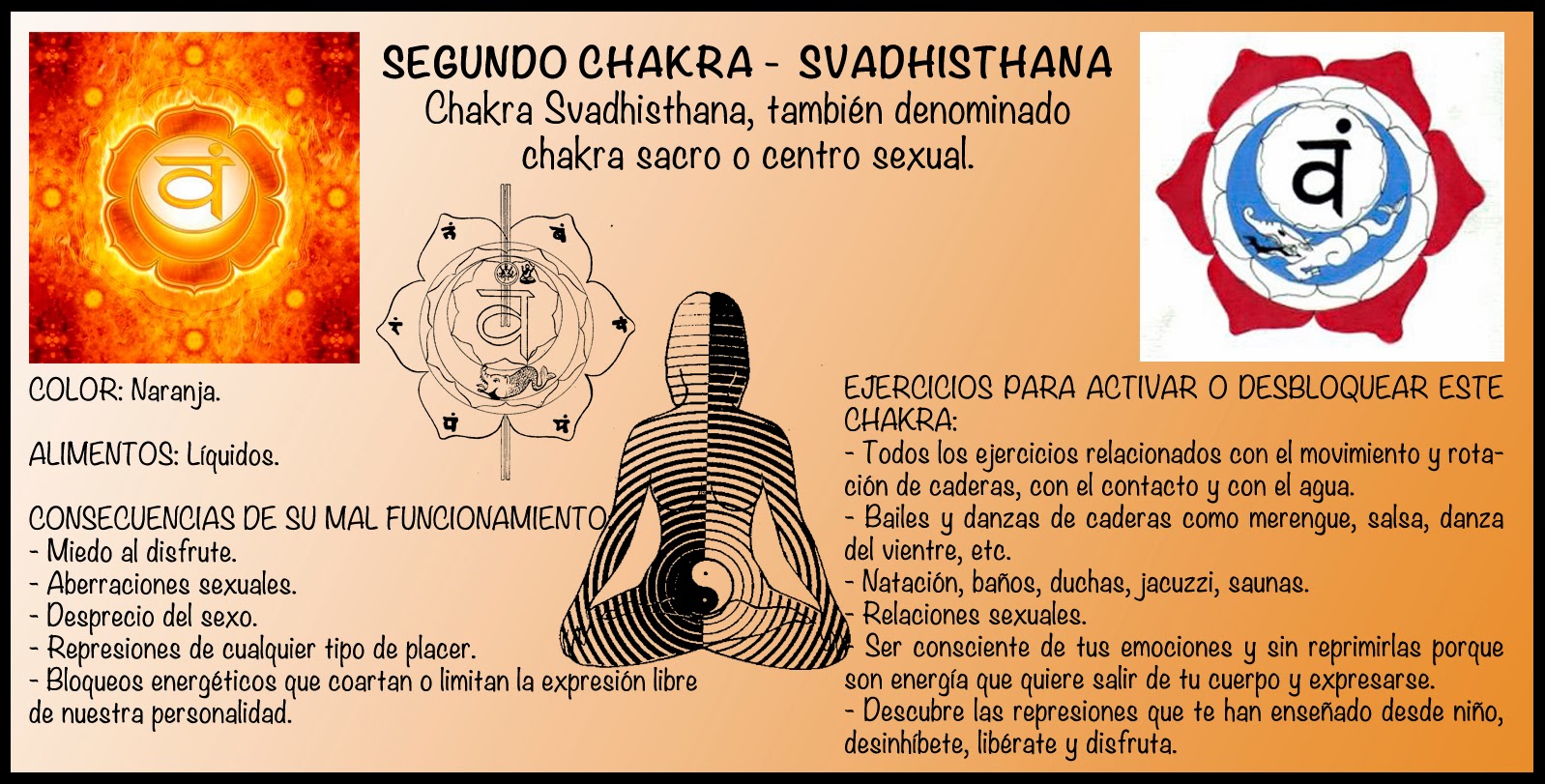 Gran Espíritu estás en mí: Alimentos y ejercicios para activar el ...