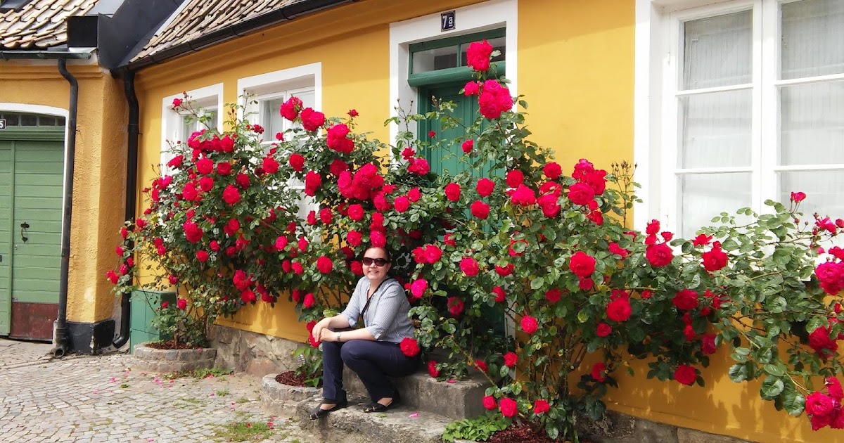 А вы не путайте экскурсию с эмиграцией: 50 оттенков моего лета - 2017 ...