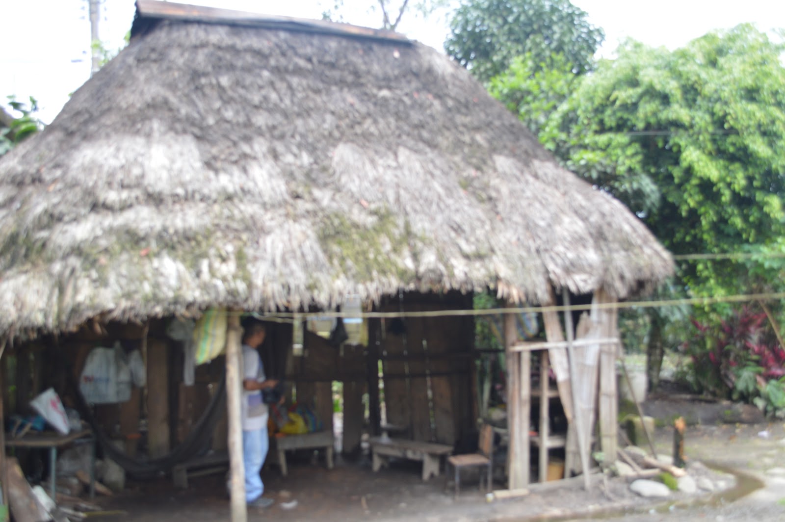 Patricio Santi, el artesano de la chonta - Eco Amazónico