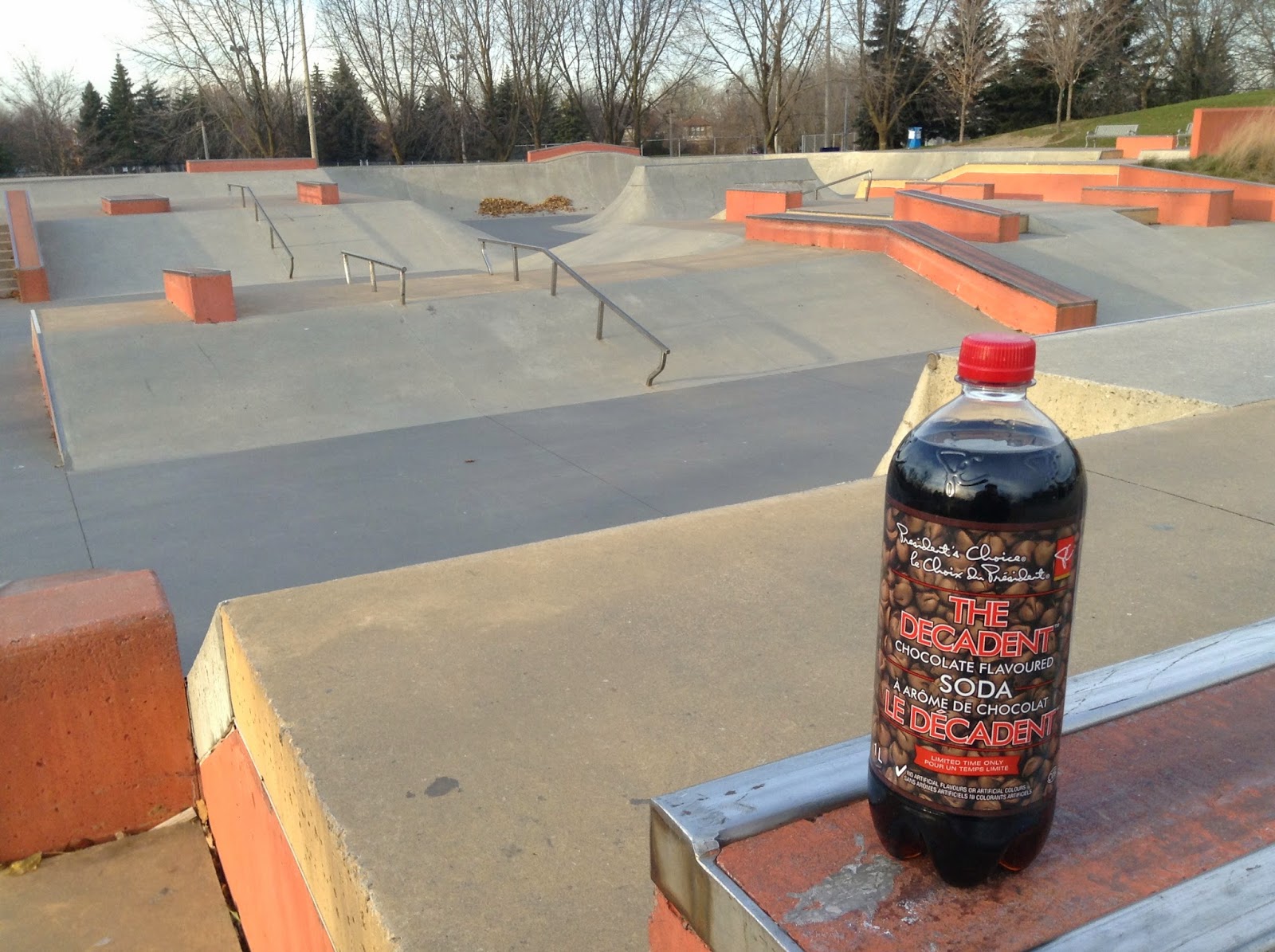 Spott Dreams of Skate Parks: Centennial Skatepark. Markham, ON