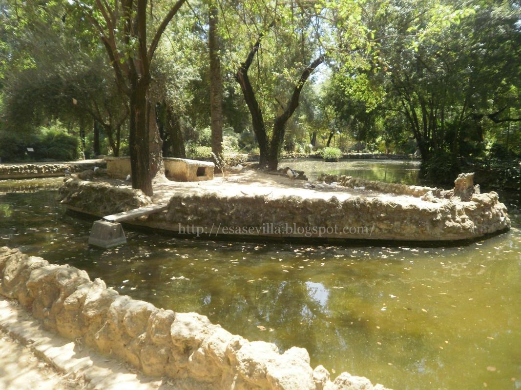 Esa Sevilla: El zoo de Sevilla