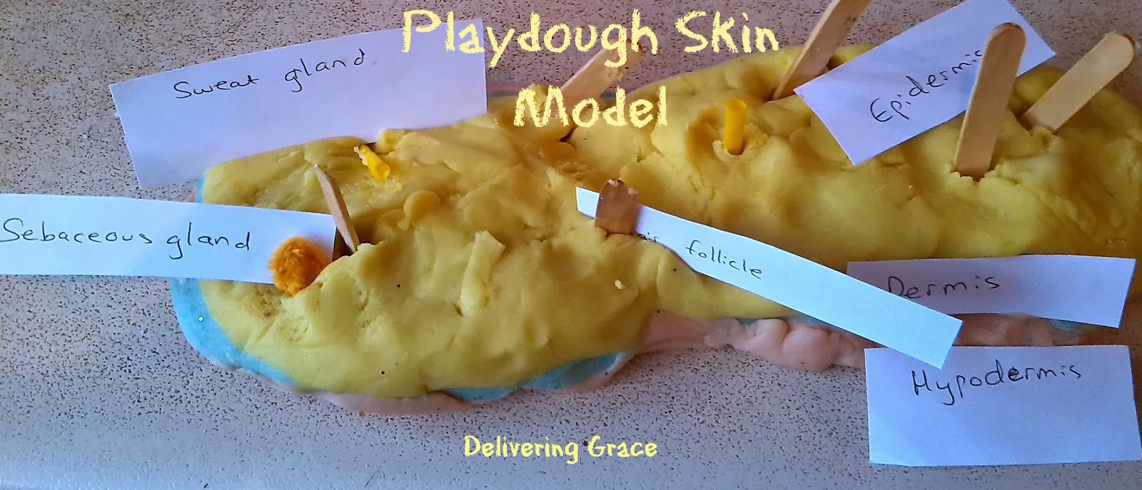 delivering grace: Play dough Skin model