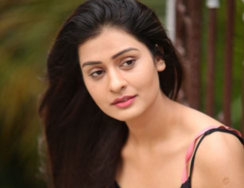 Payal Rajput Family Husband Son Daughter Father Mother Marriage Photos ...