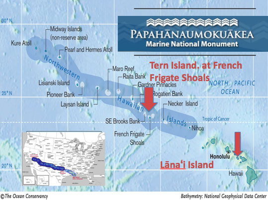 French Frigate Shoals (Kānemilohaʻi):Tern Island Blog: Lānaʻi High ...