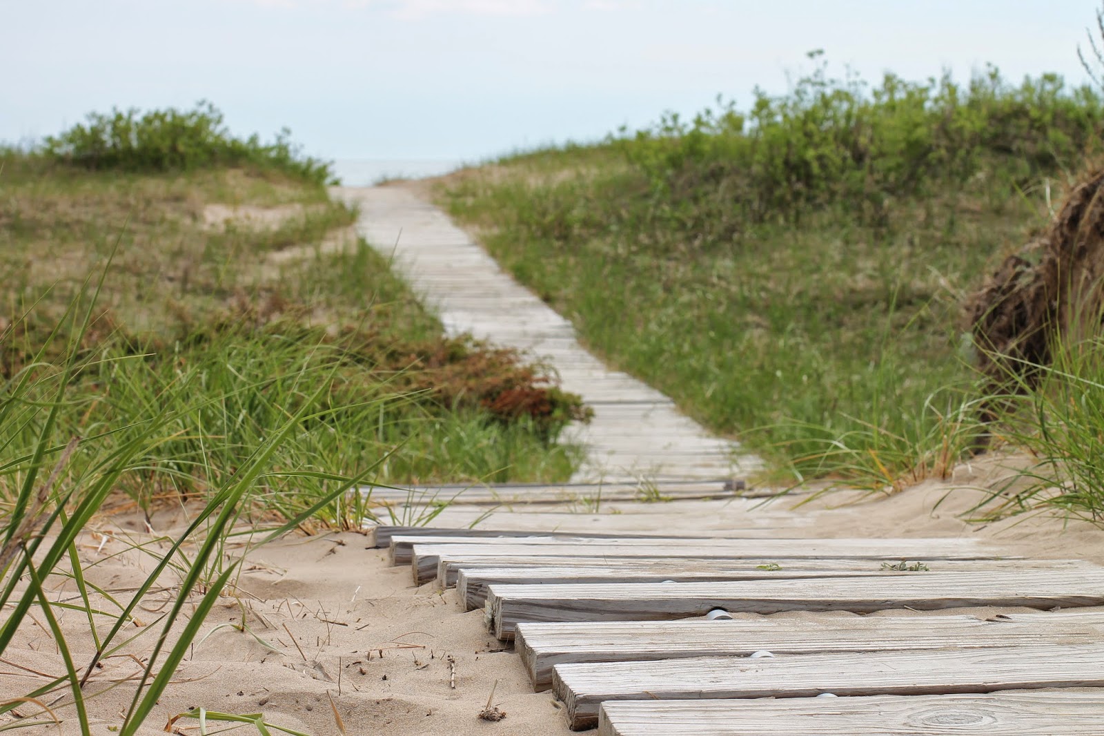 Hiking with Heather: Point Beach State Forest