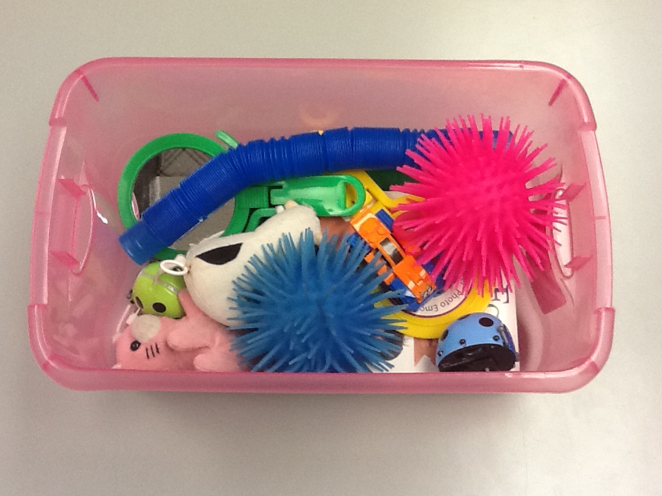 Carrie's Speech Corner: PECS: Organizing your Reinforcers